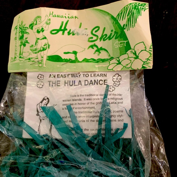 Other | Hula Skirt Matching Coconut Bra | Poshmark